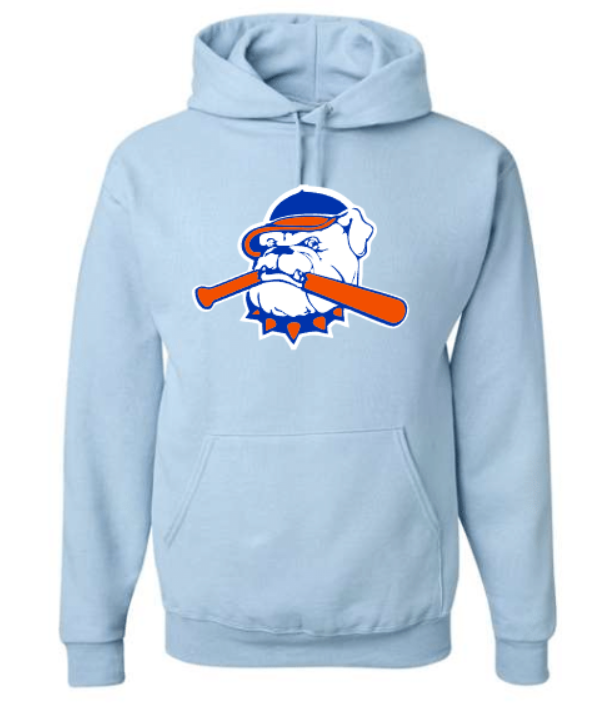 Baby Blue Hit Dogs Hoodie – Boxcar Boutique
