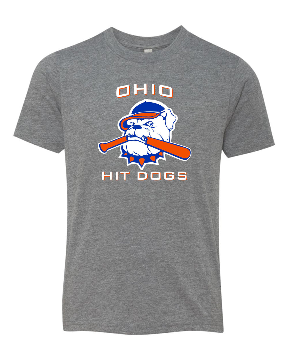 Ohio Hit Dogs Vintage Gray T-Shirt – Boxcar Boutique